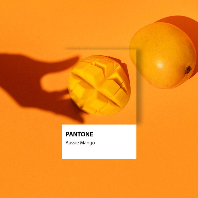Support Aussie Mangoes Big Bid for Pantone Global Colour of The Year ...